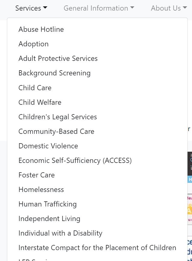 FL Department of Children and Families – Mostly Medicaid